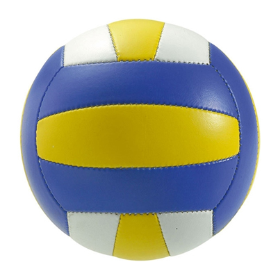 Bonsaglio palla-volley